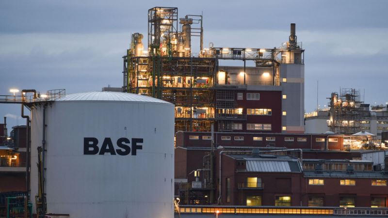 BASF інвестує в розробку 30 нових аграрних рішень та продуктів для ...