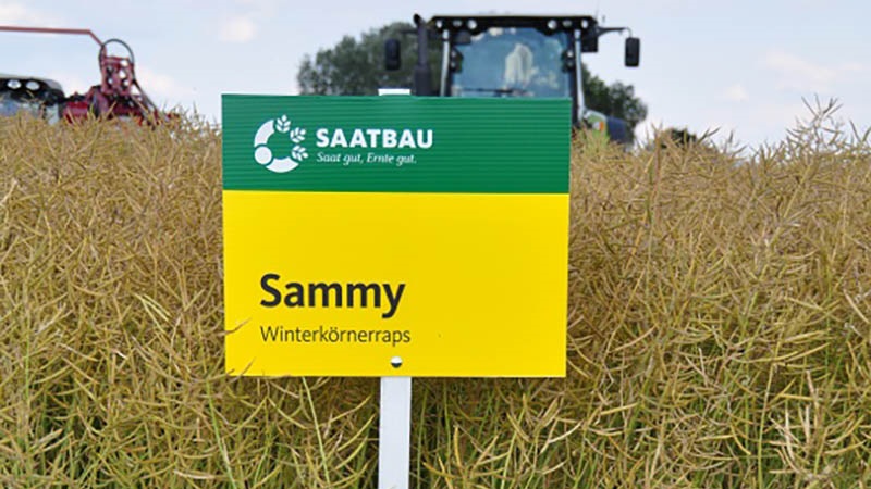 SAATBAU та PROBSTDORFER SAATZUCHT оголосили про об’єднання українських представництв ...