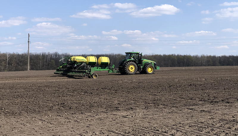 Під соняшник Кернел відвів понад 35% площ — SuperAgronom.com