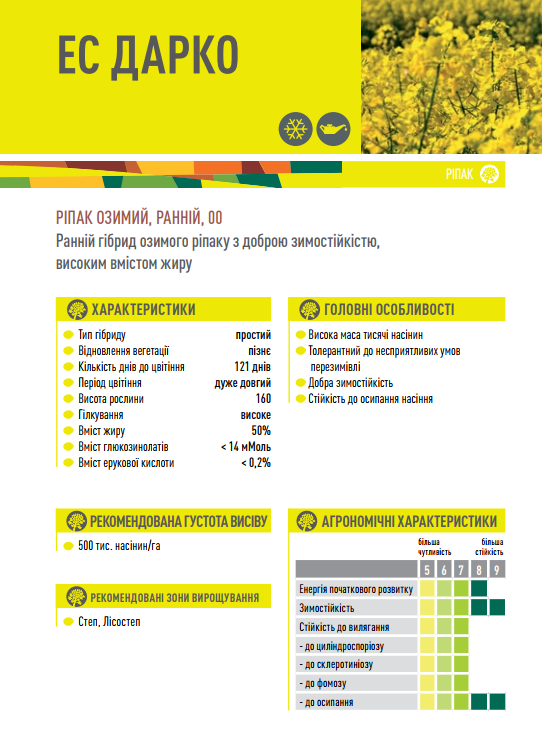 Насіння ріпак ЕС Дарко Євраліс